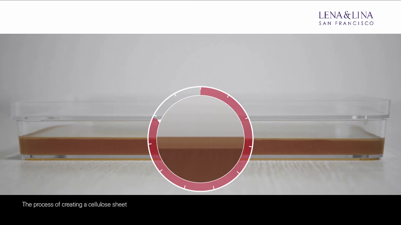 Bio Cellulose Face Mark by Lena & Lina San Francisco - The Art ...