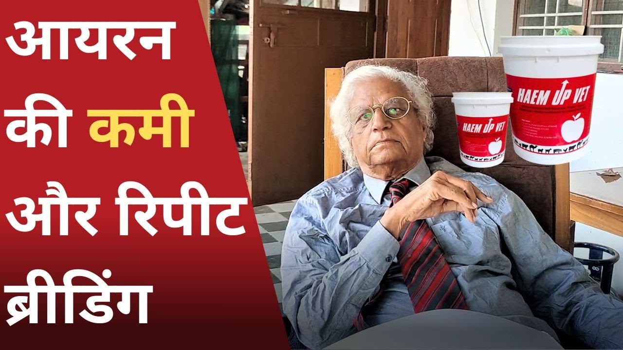 आयरन की कमी और रिपीट ब्रीडिंग | Iron Deficiency in Cow and Repeat ...