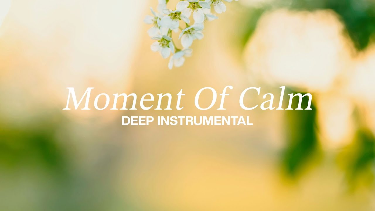 Moment Of Calm - 3 HOURS Music for Meditation - No Copyright - YouTube