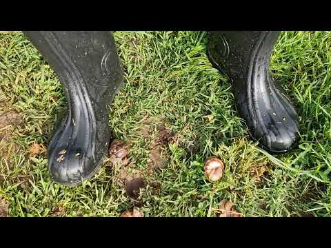 Rubber boots vs snails 30