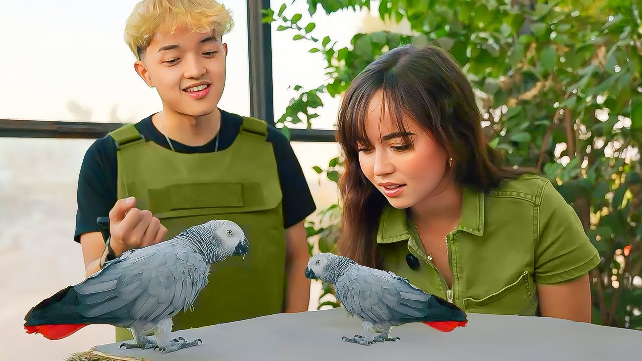 Jason & Maya Higa Tour $1,000,000 Animal Sanctuary.. - YouTube