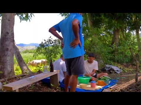 Traditional Fijian Lovo: Cooking with Earth and Fire - YouTube