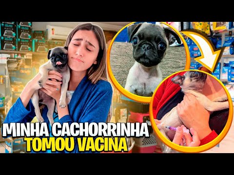 MINHA CACHORRINHA TOMOU VACINA !!!