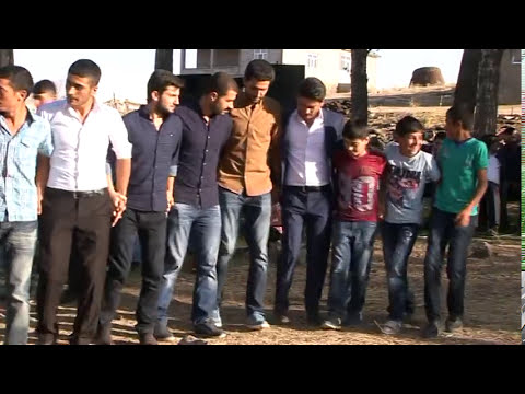 muş bulanık düğünleri 2015