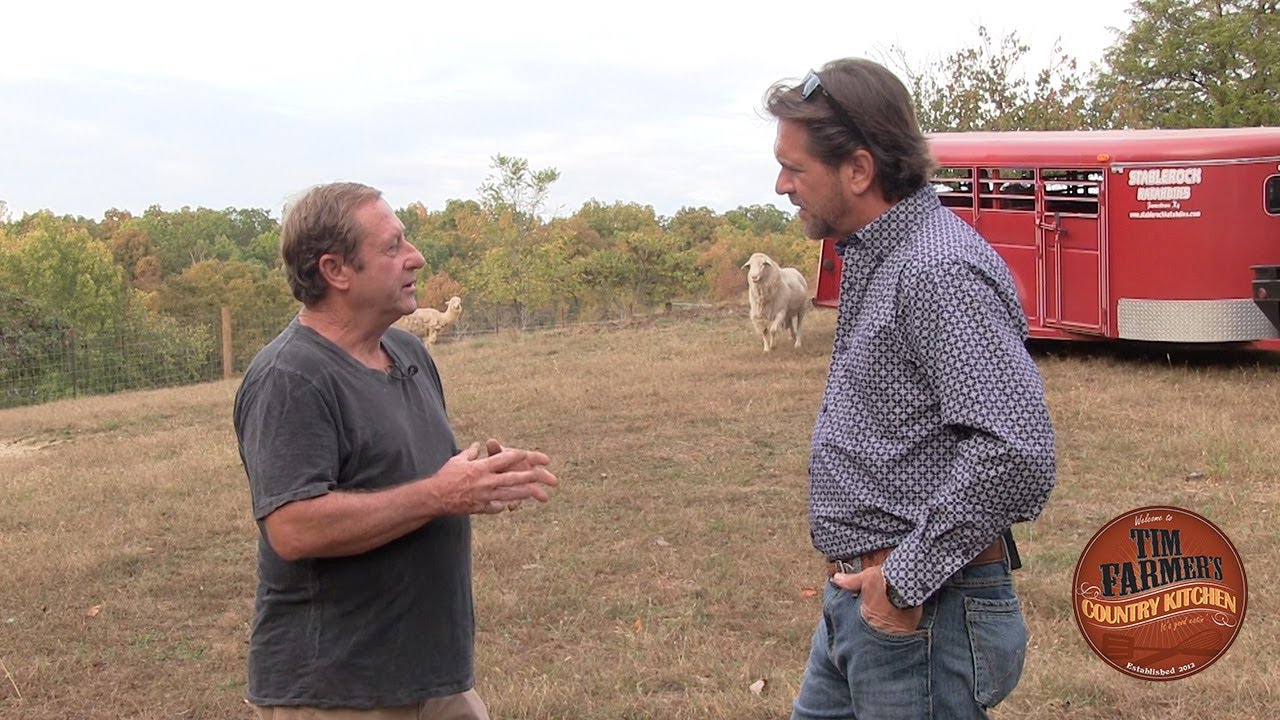 Improving your sheep herd by selective breeding-Katahdin sheep - YouTube