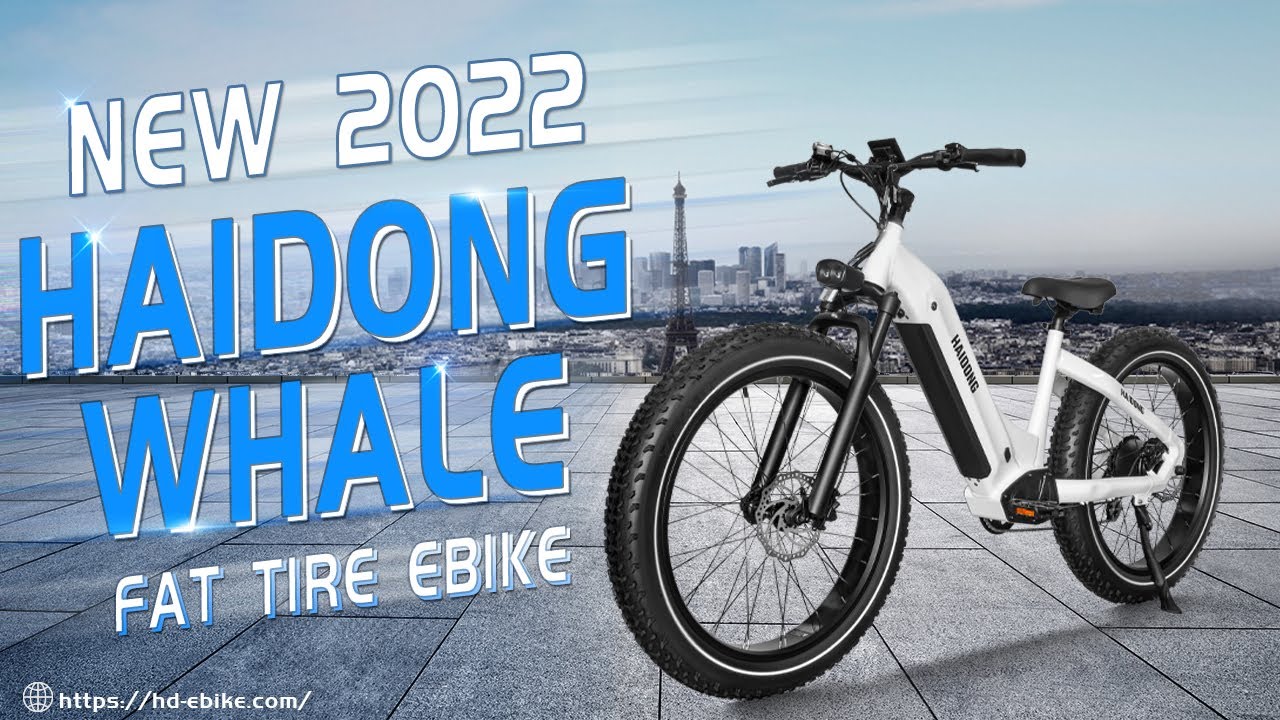 2022 Haidong New Product Whale, Fat Tire E-bike - YouTube