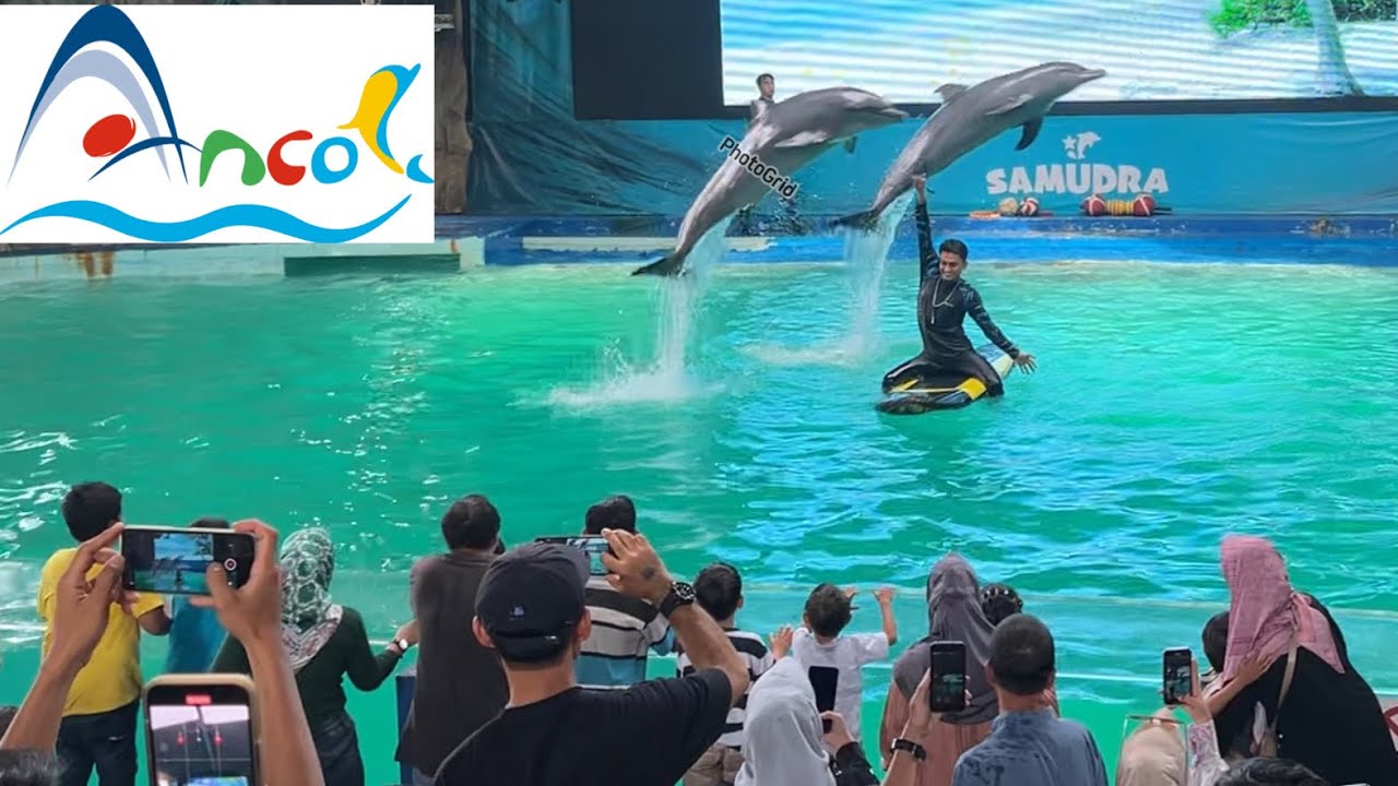 Jalan-jalan ke SEAWORLD dan SAMUDERA Ancol - YouTube