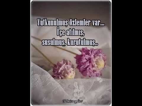 İncinmek değil bu Öfke değil Ah Değil Tam bir Yürek Çöküntüsü Ruhun taşa dönüşmesi  Aklın Yalnızlığı