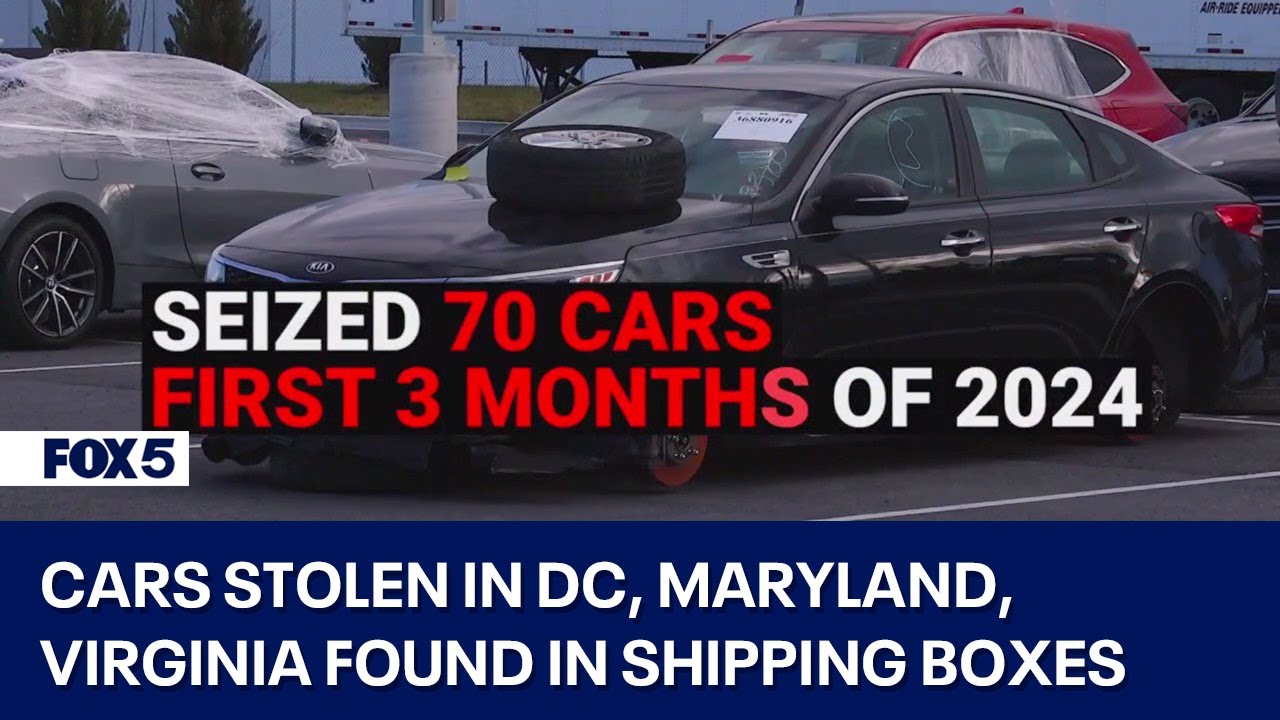 Cars stolen in DC, Maryland, Virginia found in shipping boxes headed overseas - YouTube