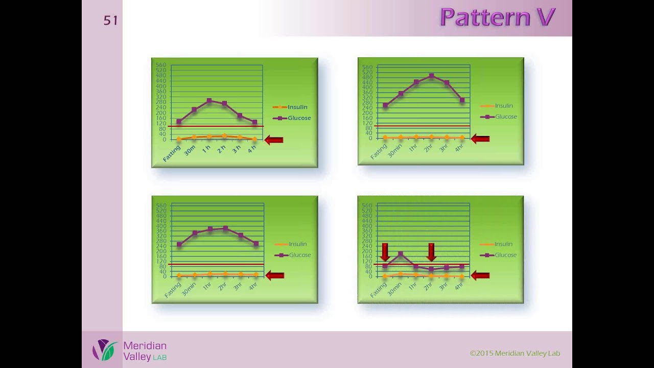 Part II: Insulin Resistance Assessment, Testing and Monitoring - YouTube