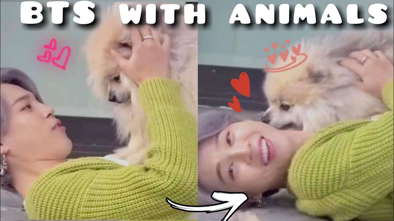 BTS With Animals Is The Cutest Thing || BTS Loving Animal - YouTube