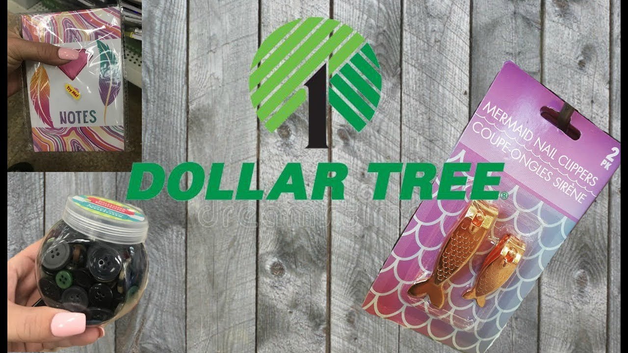 Crazy come shop with me at the Dollar Tree / New Finds! What I like and ...