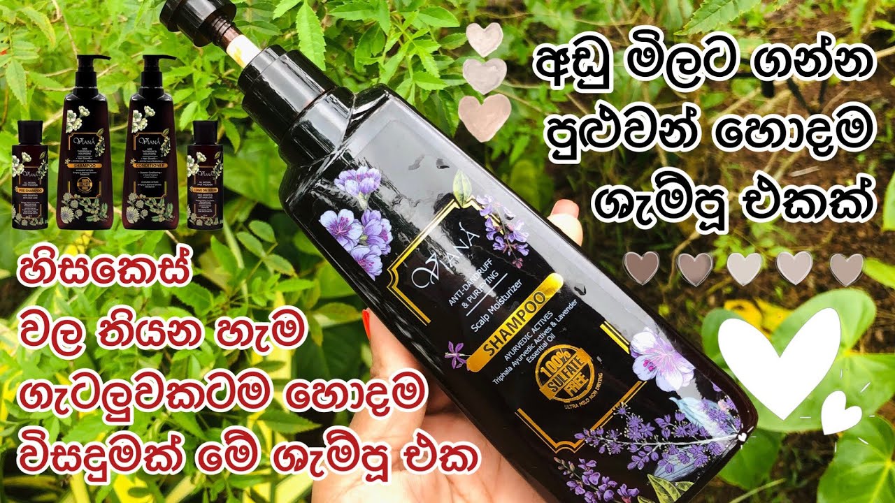 හිසකෙස් වල තියන හැම ගැටලුවකටම හොදම විසදුමක් මේ ශැම්පු එක - Viana Hair ...