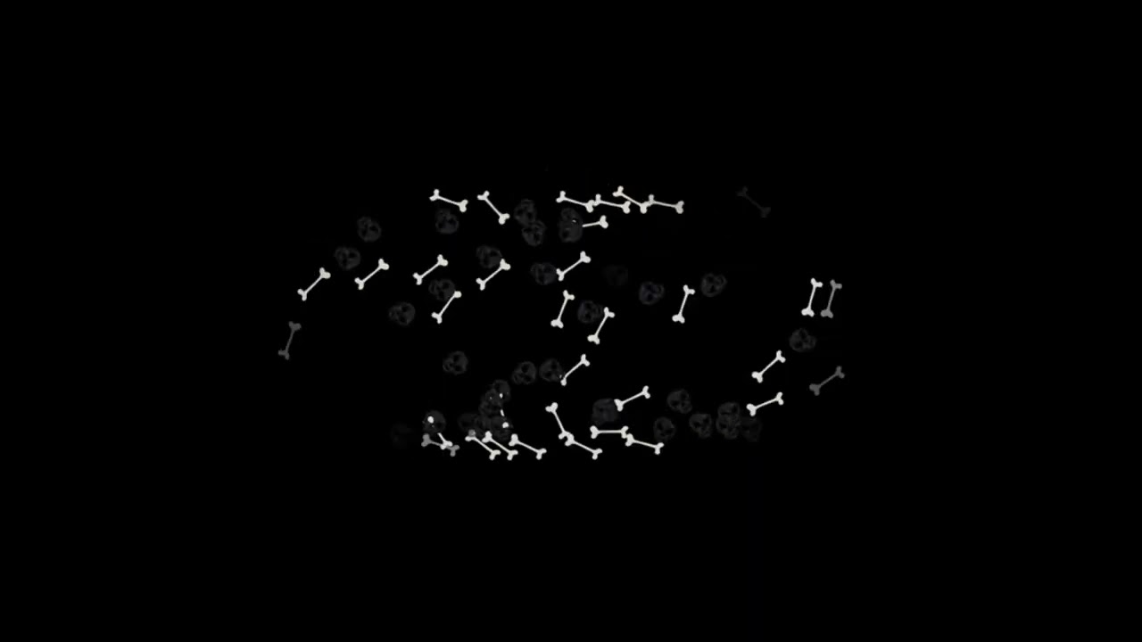 Kiya Designs - Animation Pack 174 - Payhip