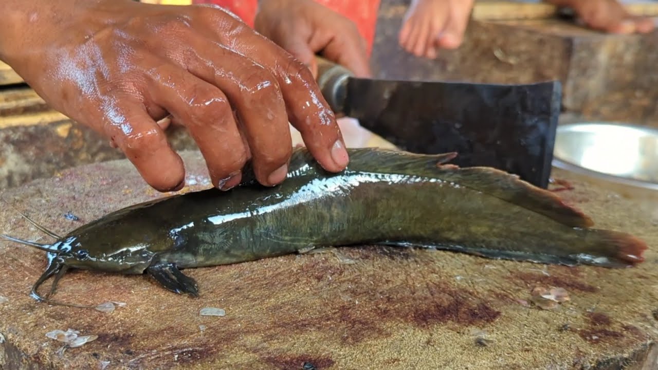 Amazing Desi Magur Fish Cutting Skills | Desi Catfish Cutting Live In ...