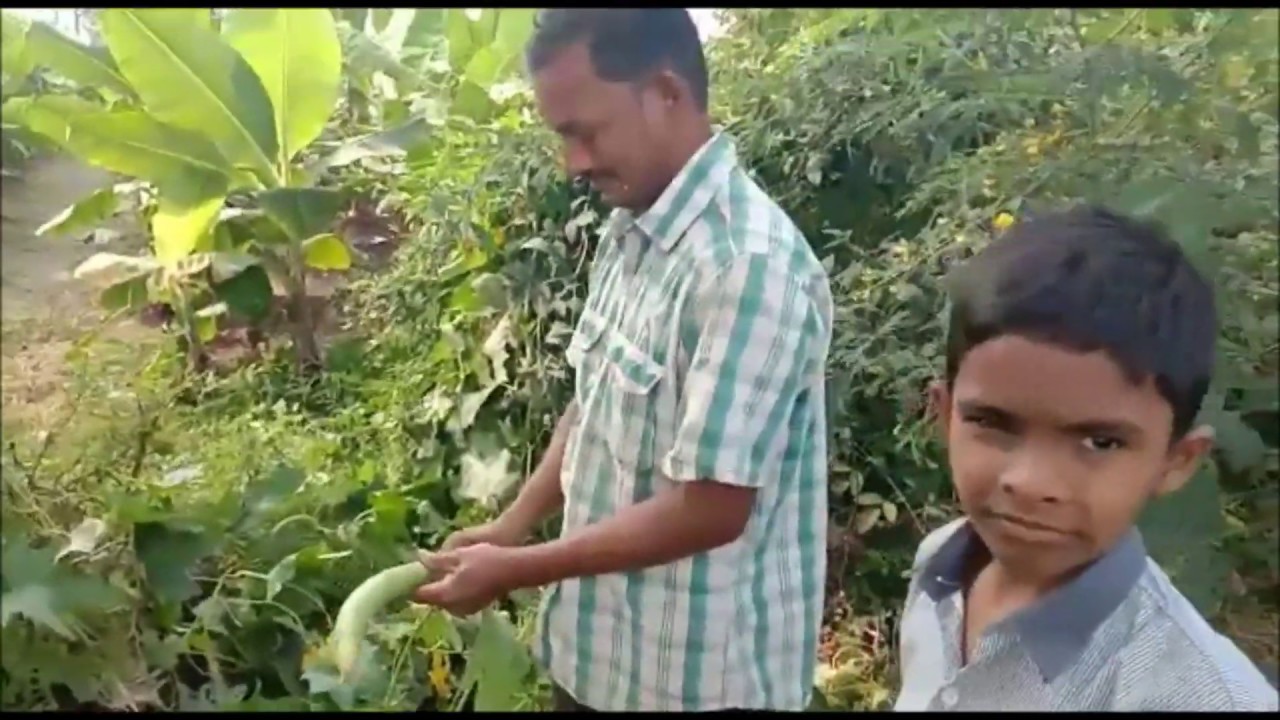 Village food cooking in farm | Baigan Arhar Sabji Roti | Tuver Dana ...