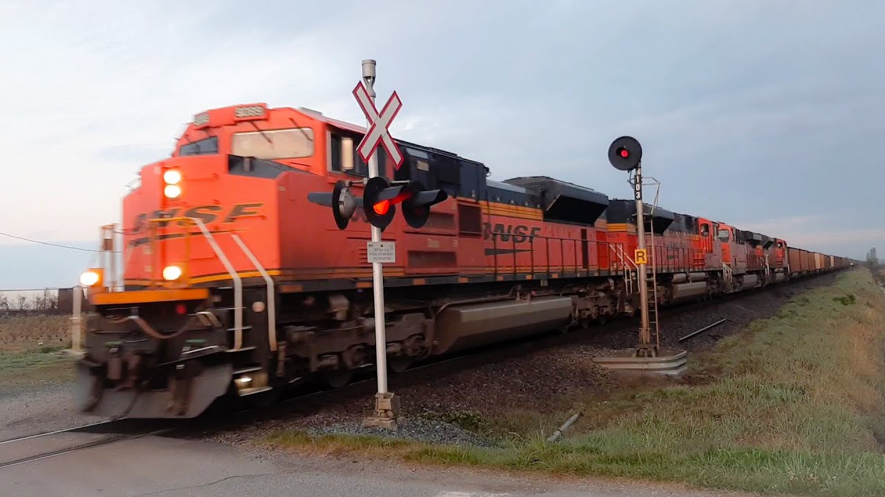 4 In The Front, 1 At The Rear! BNSF 9089 Lead Coal Hopper Train In Delta BC - YouTube