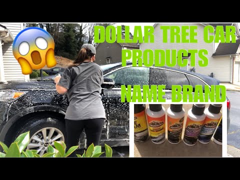 SUNDAY CAR WASH W/ MY 2 TEEN BOYS USING DOLLAR TREE PRODUCTS *BOYS WILL BE BOYS*