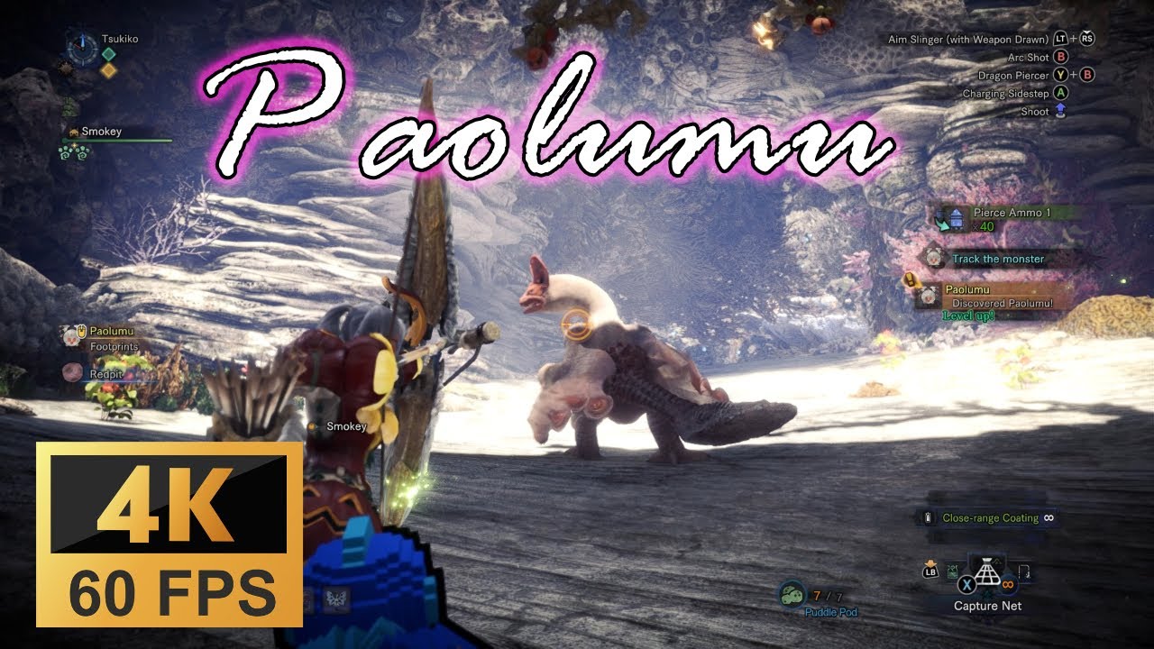 Paolumu Hunt (Solo); Bow and Palico [4k60fps] - Monster Hunter World ...