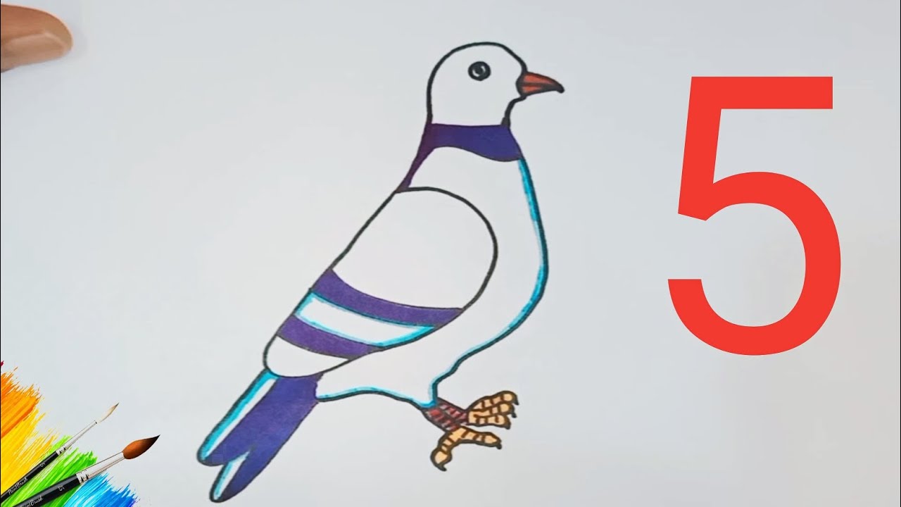 how to draw pigeon drawing easy step by step/Bird drawing ...