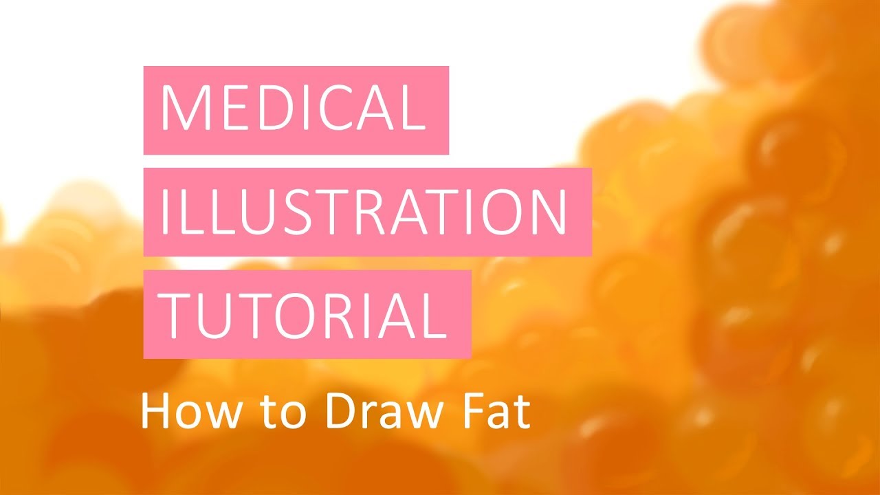 Medical Illustration Tutorial: How to Draw Fat in Adobe Photoshop - YouTube