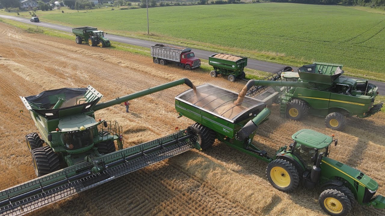Wheat Harvest - Miller Farms Custom, LLC - YouTube