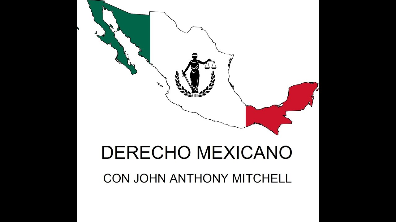 Constitucion Articulo 13 - YouTube