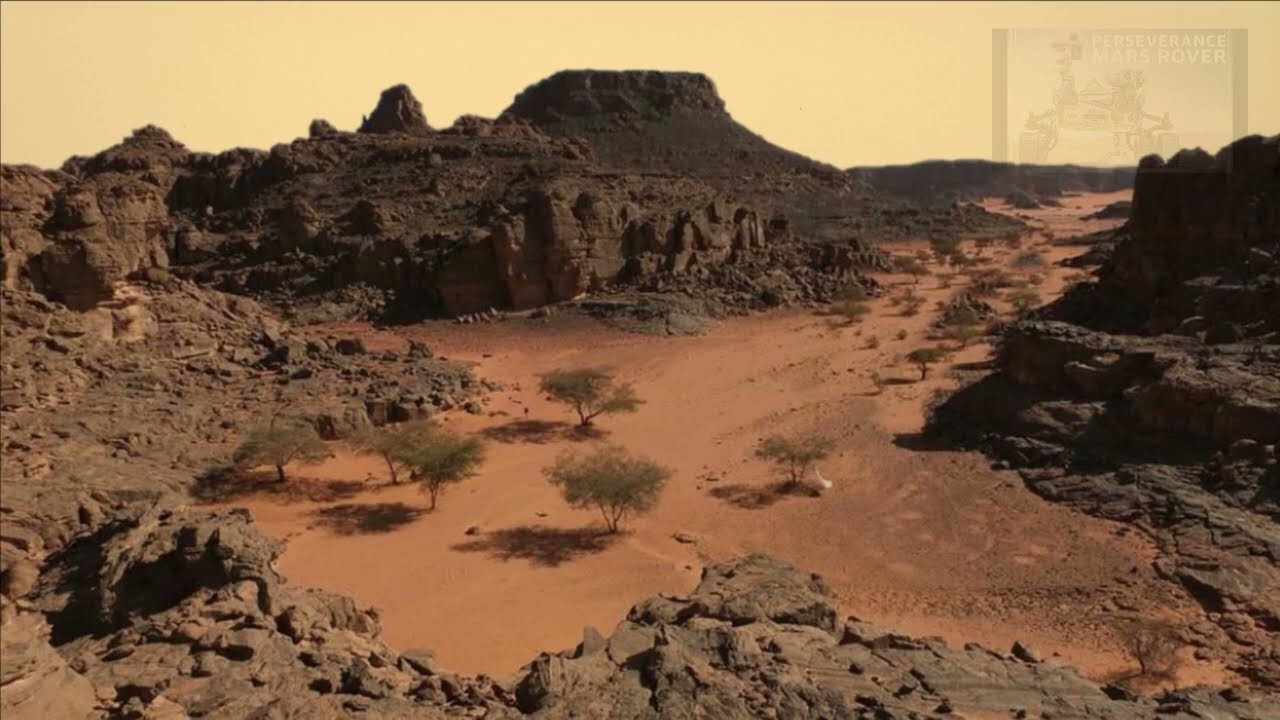 Mars: Perseverance Rover - Plants to grow on Mars, can take advantage ...