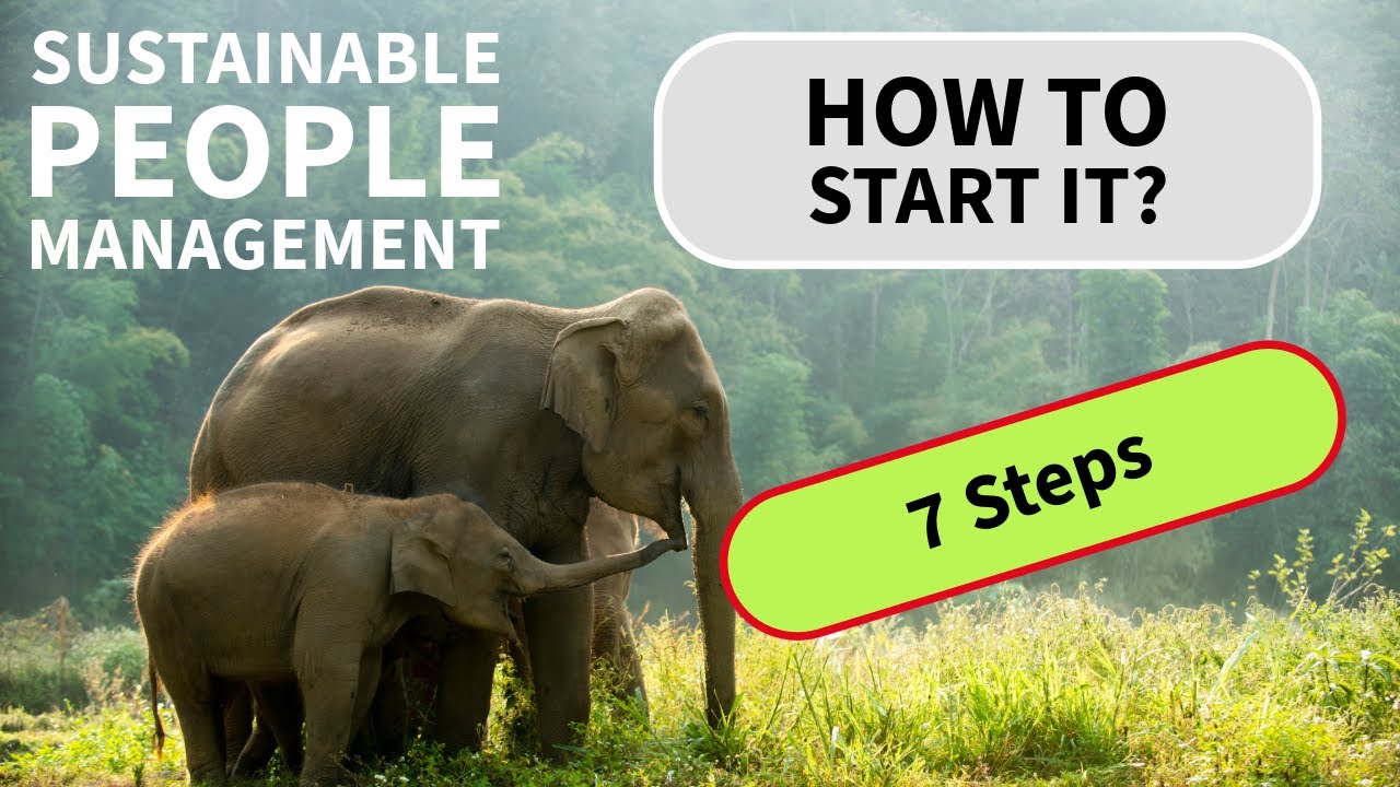Sustainable People Management - How to start it? 7 Steps - YouTube
