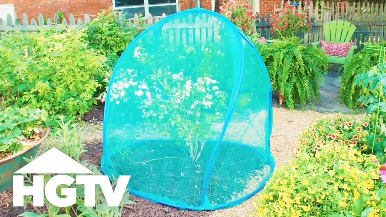 Hula Hoop Crop Cage | HGTV - YouTube