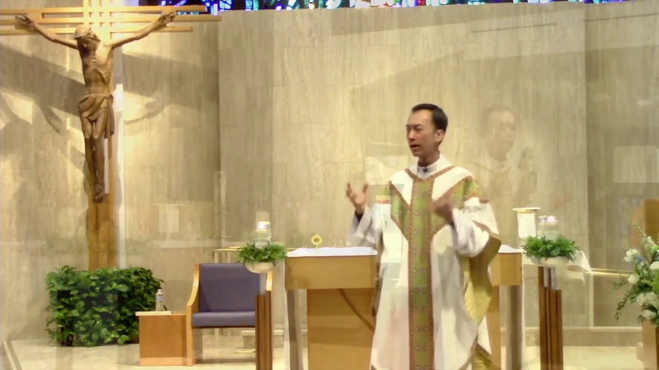 Divine Mercy Sunday - Fr. Quan Tran's Homily - YouTube