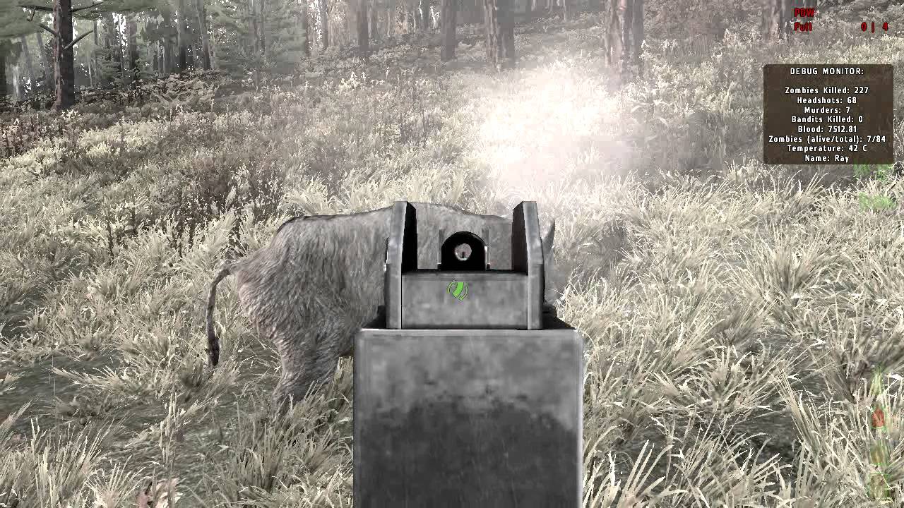A DayZ moment - How 2 kill a pig - YouTube