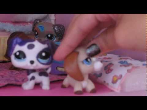 LPS: Violet's Sleepover Ep.2 "Sassy Sunshine" - YouTube