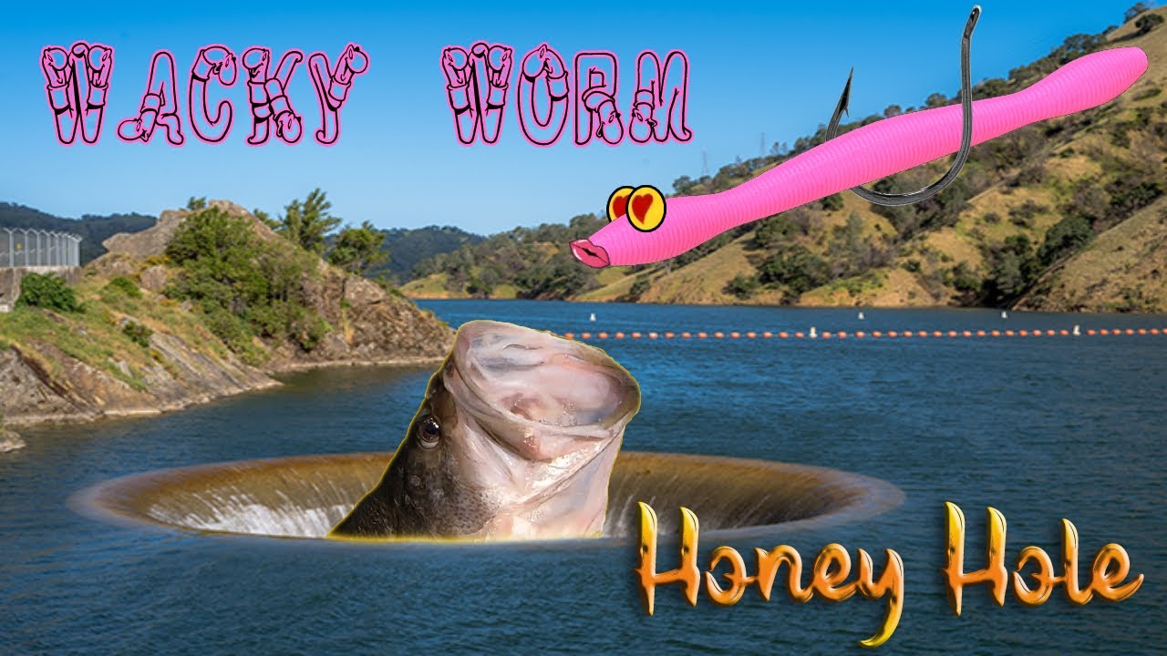 Burying my Wacky Worm in the Honey Hole! Bass catches galore!? # ...