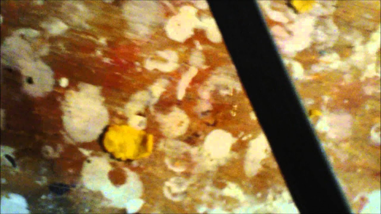 Actual video of The Ax Murderer - YouTube