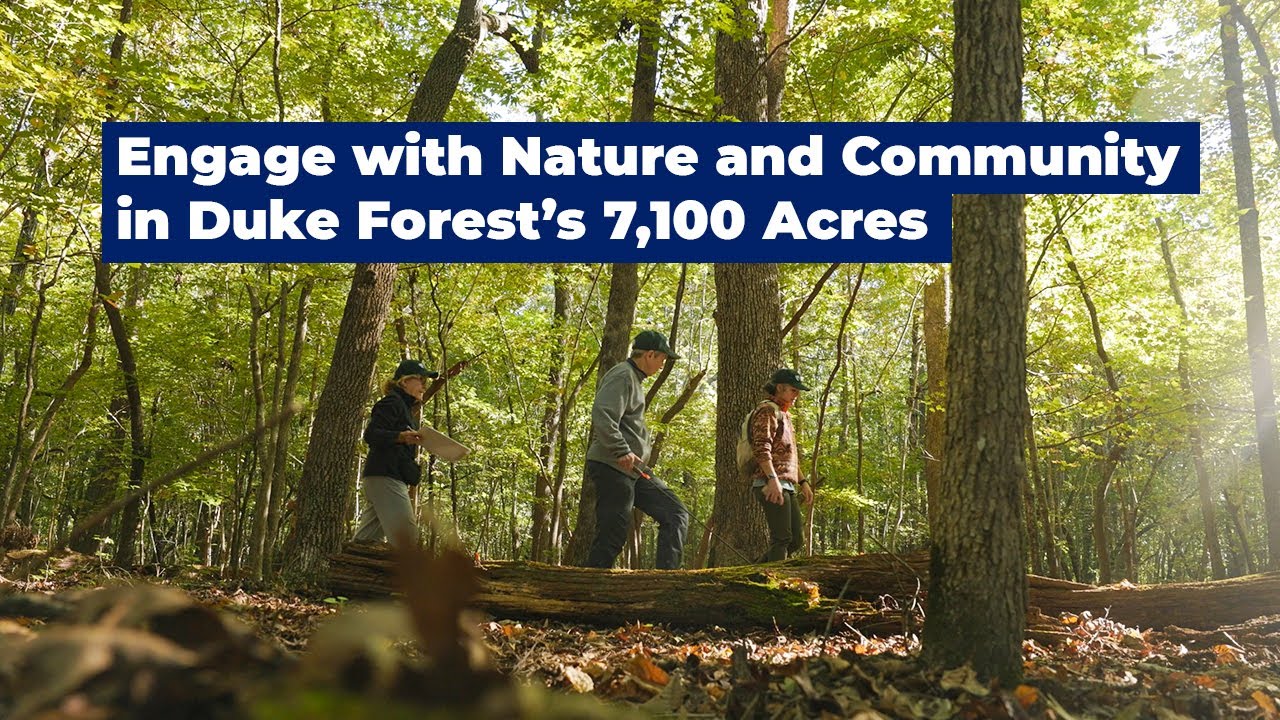Engage with Nature and Community in Duke Forest’s 7,100 Acres - YouTube