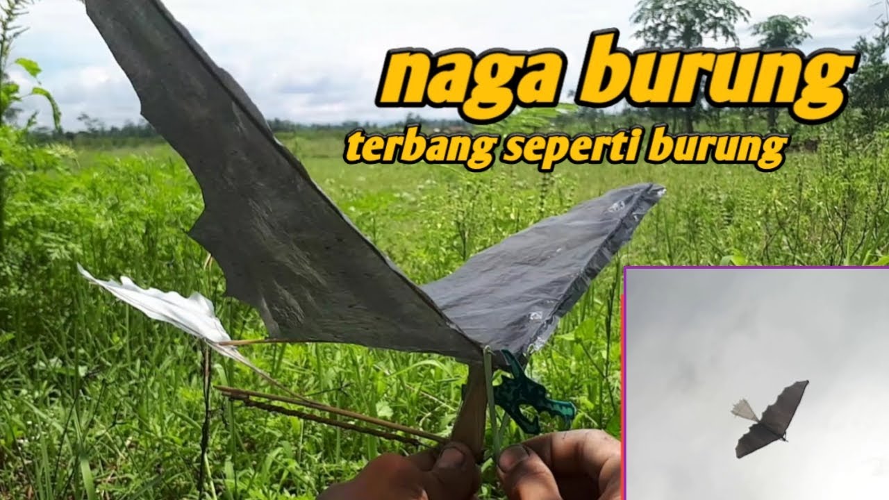 Cara membuat robot burung tenaga karet | flying bird ornithopter - YouTube