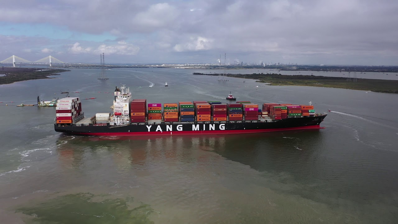 The Yang Ming 4K - YouTube