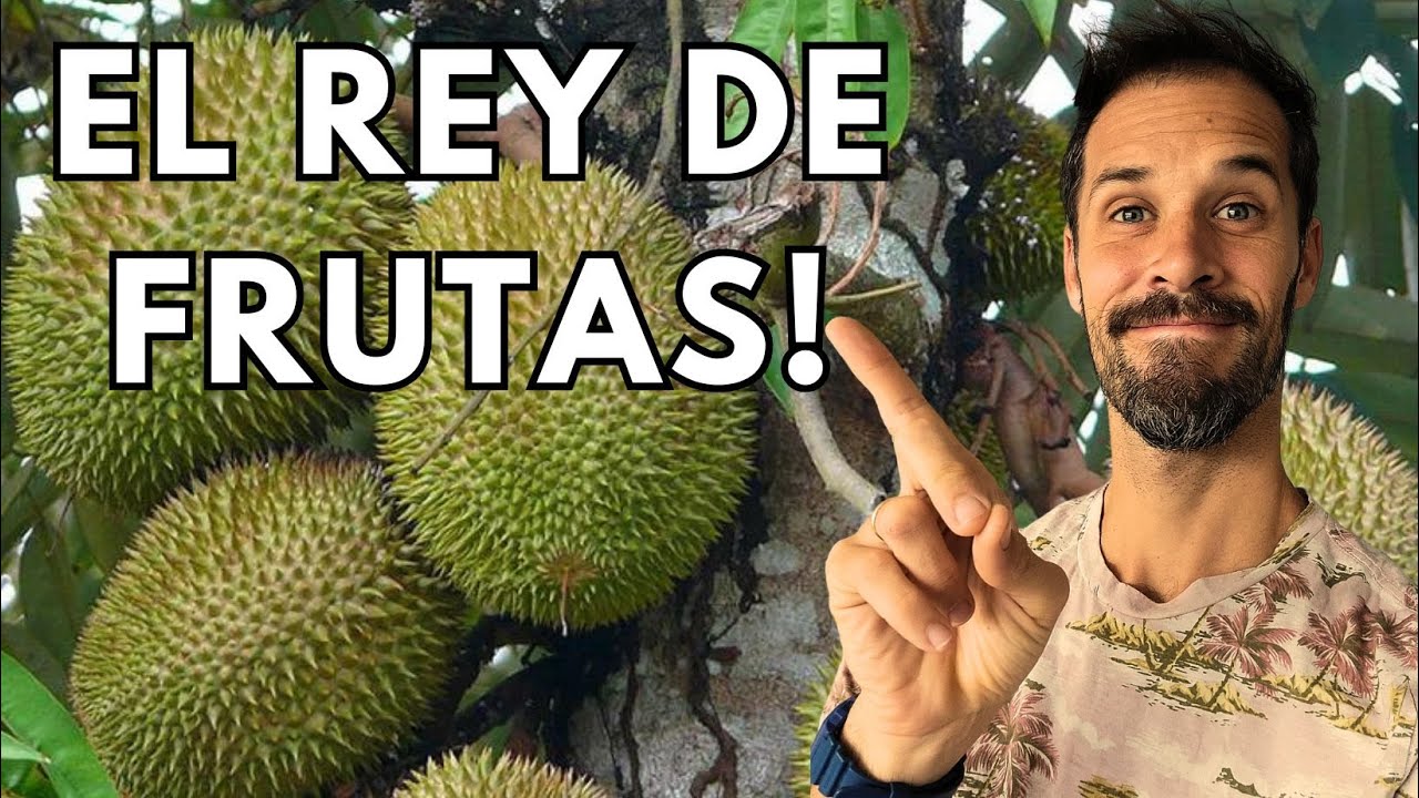 La Fruta Más EXÓTICA llegó a Costa Rica - El Rey de Frutas - YouTube