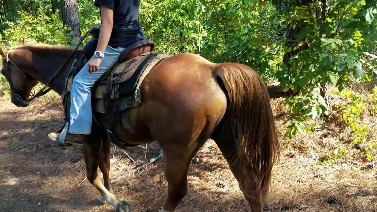 JACK & Jena owned by Justin Nipper - Kids Cowboy Camp - YouTube
