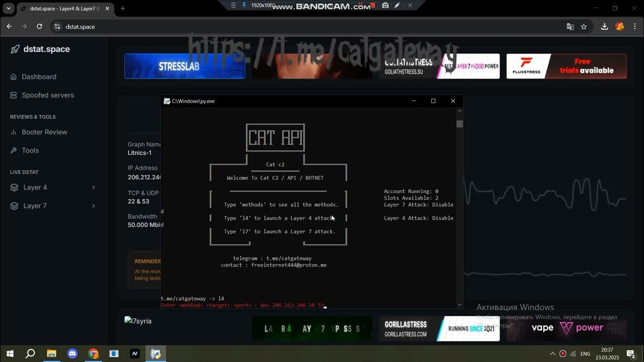 Cat C2 VS DSTAT - YouTube