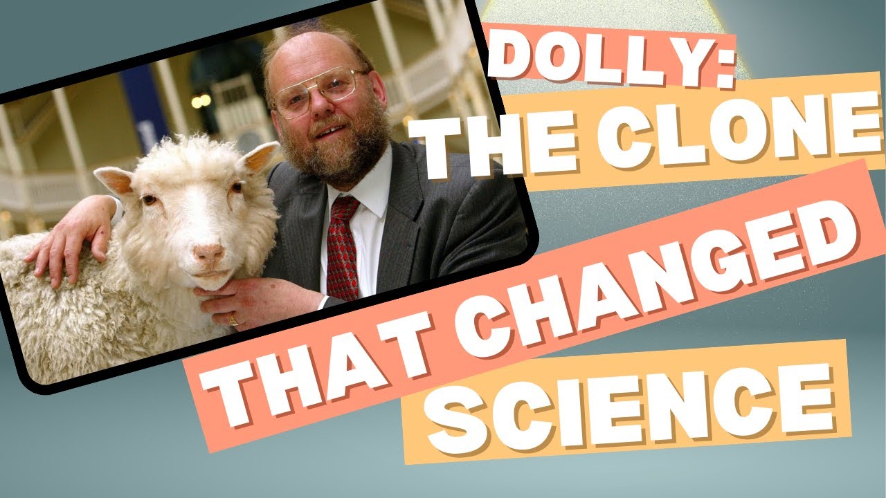 Dolly: The Clone That Changed Science - YouTube