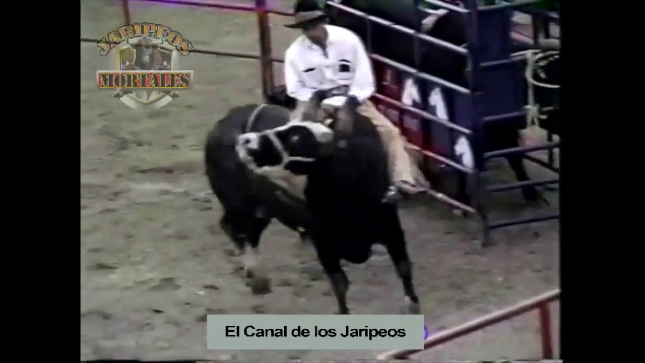 JARIPEO VS. TORO!!!! con cancion de Tamborazos Zacatecanos (El Mechon ...