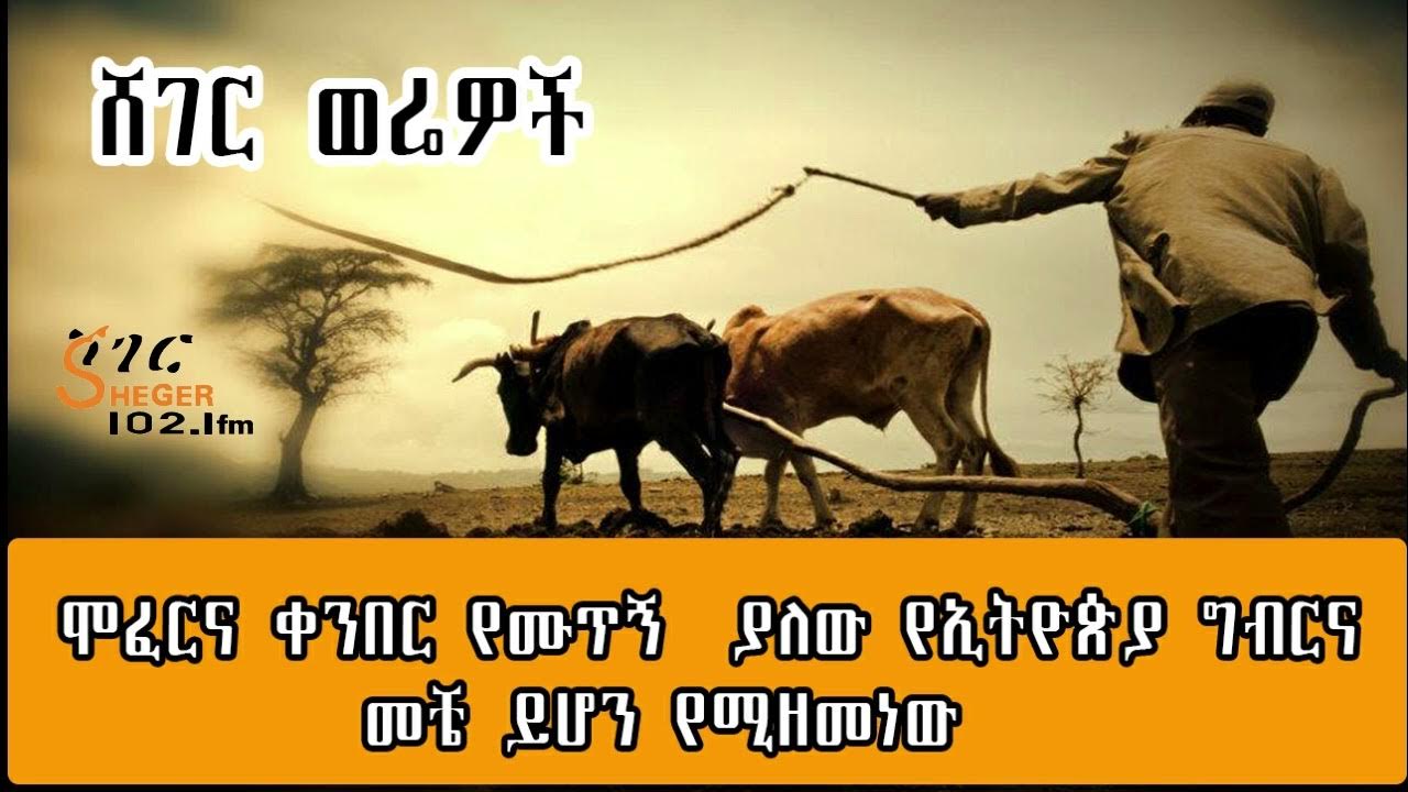 Sheger Werewoch ሞፈርና ቀንበር የሙጥኝ ያለው የኢትዮጵያ ግብርና መቼ ይሆን የሚዘመነው Youtube