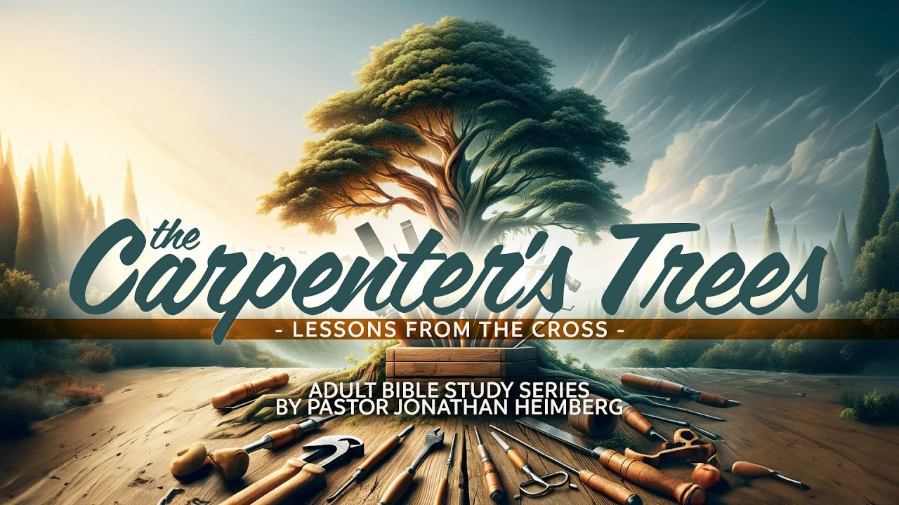 The Carpenter's Trees #3 The Tree of Judgement - YouTube