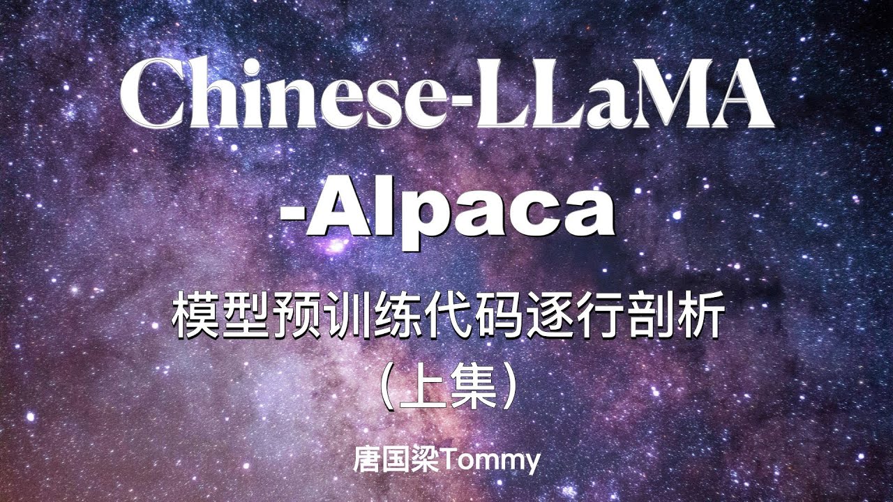 源码讲解 04 上集 模型预训练代码逐行剖析 Youtube