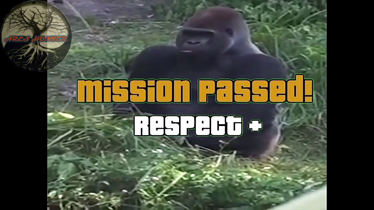 Mission Passed! Respect + Recopilación/ Compilation :v - YouTube