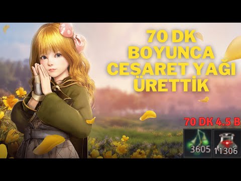 Cesaret Yağı Üretimi | Bdo Kimya 1800 Mastery | 70 Dk'da 3 Billion