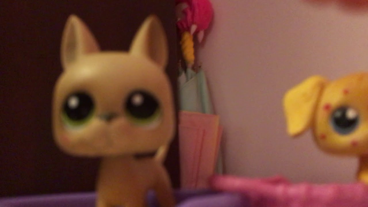 Lps SpongeBob has chicken pox - YouTube