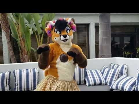 Lotus la fawn dancing to reversed dayo song - YouTube